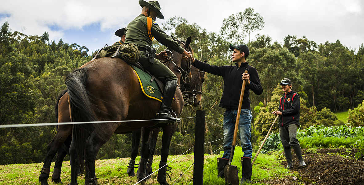 Peace, Justice, and Security - PADF