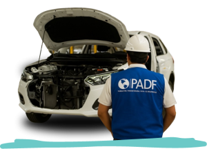 Home - Pan American Development Foundation