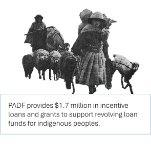 Who We Are - Pan American Development Foundation